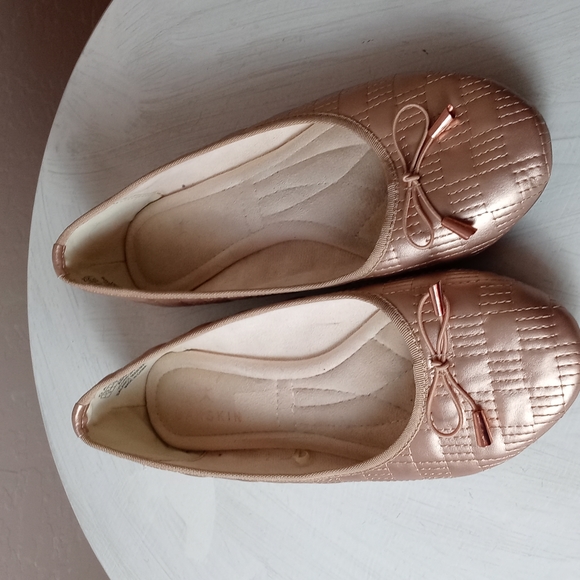 Danskin | Shoes | Danskin Adore Metallic Ballet Flats | Poshmark